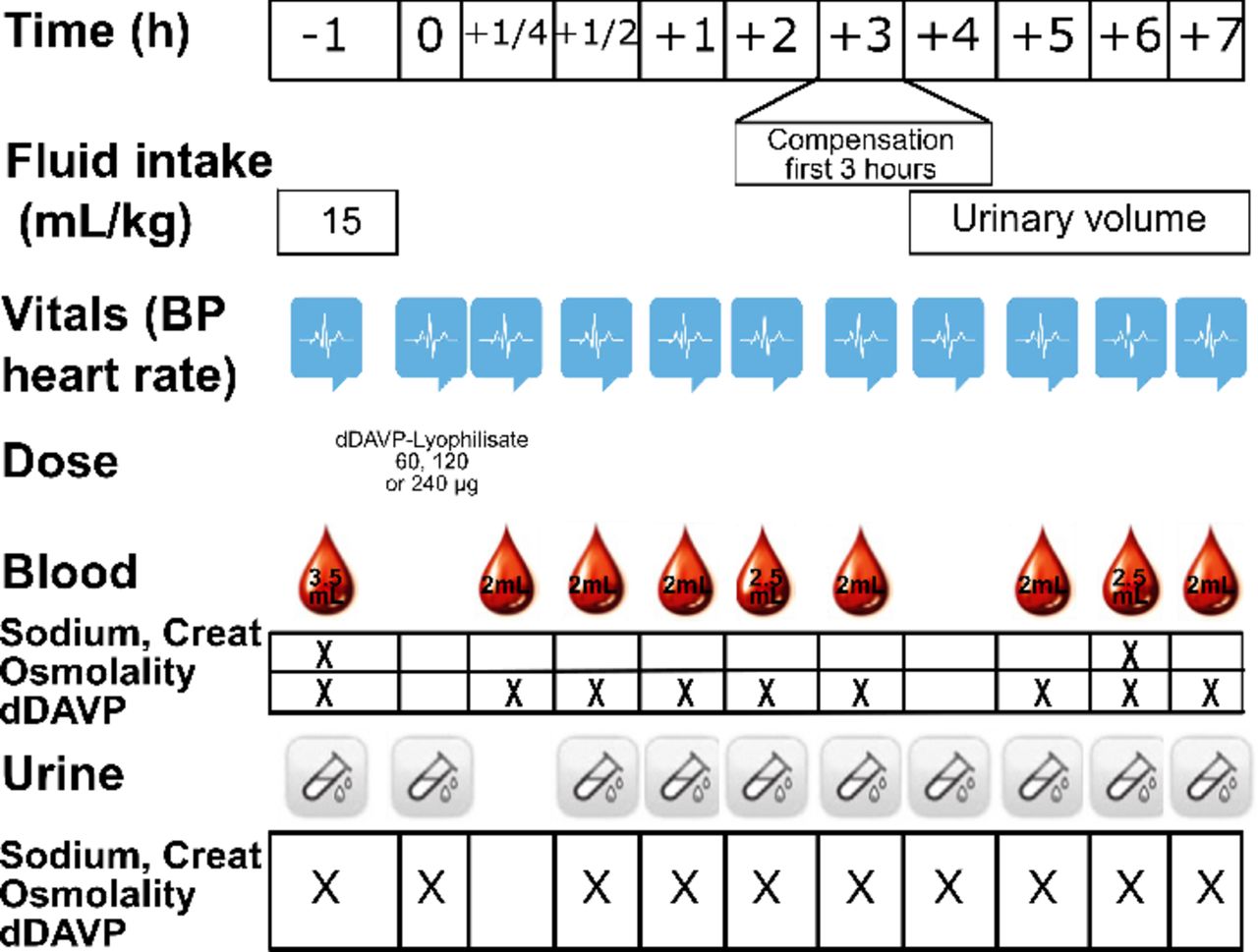 Desmopressin oral lyophilisate in young children: new insights in ...