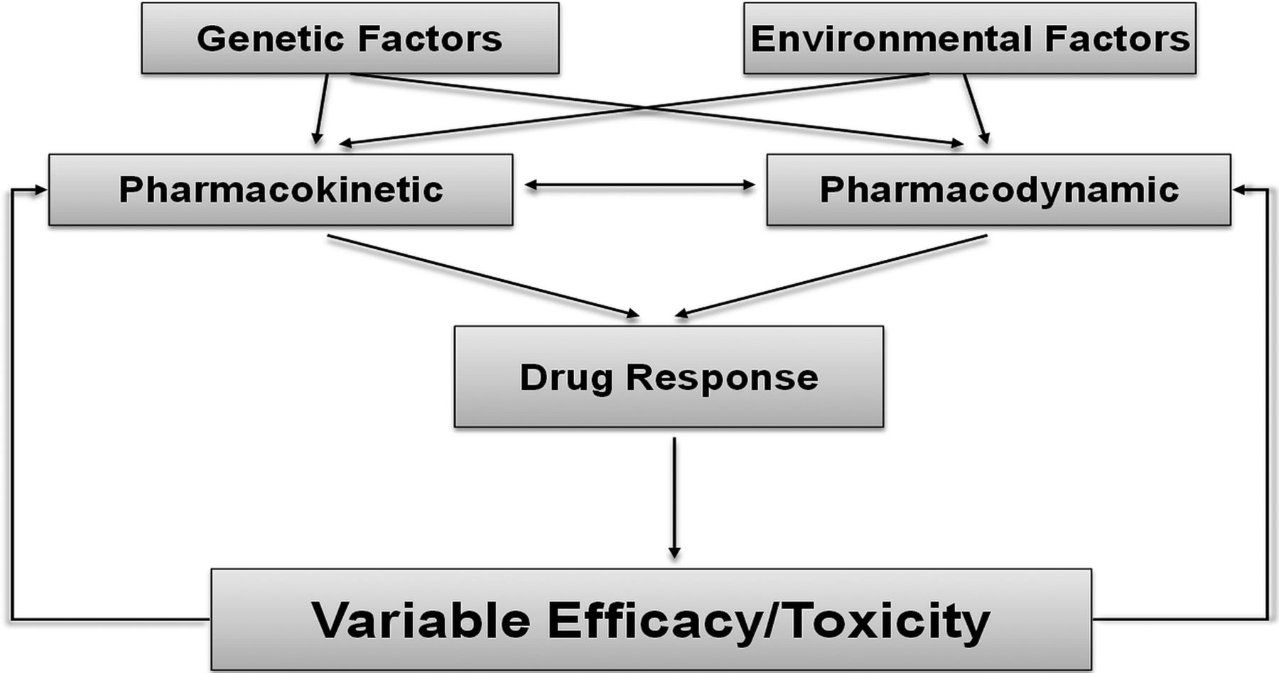 Paediatric pharmacogenomics: an overview | Archives of Disease in Childhood